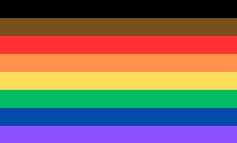 Bandiera LGBTQIA+: storia, significato, colori - Valore D